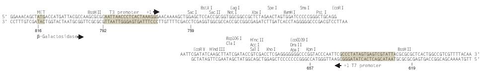 Topic 1 Basic handling of sequence data